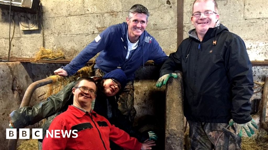 Northern Ireland farm diversification scheme with a difference - BBC News