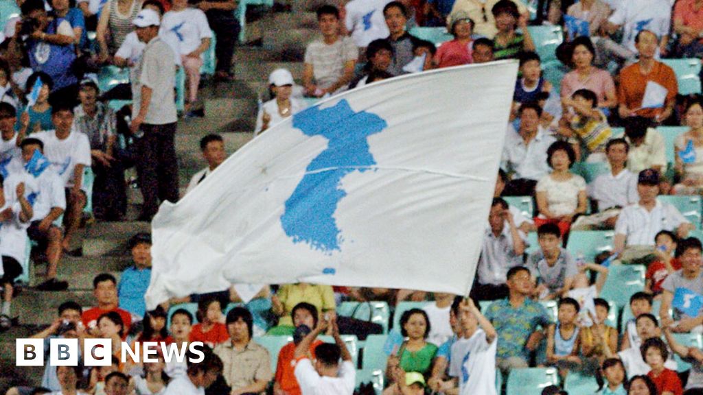 Koreas to march under single 'united' flag in Olympic Games - BBC News