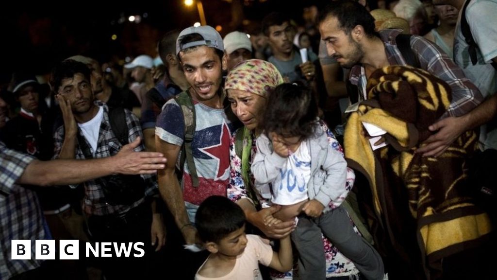 Europe migrant crisis: Are you affected? - BBC News