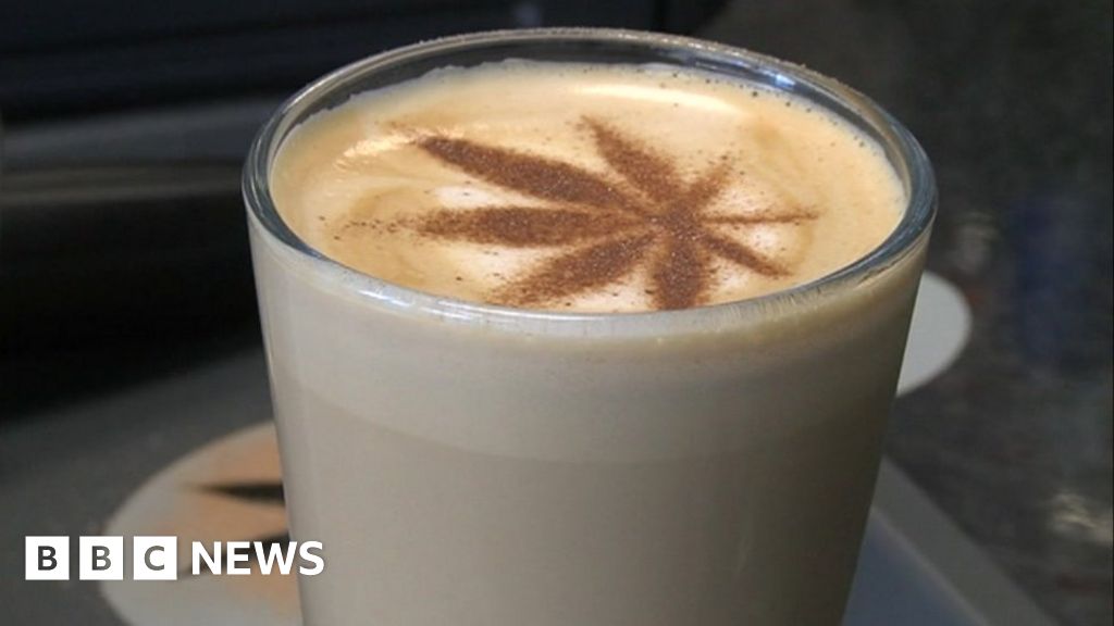 The Swansea coffee shop selling cannabis extract drinks - BBC News