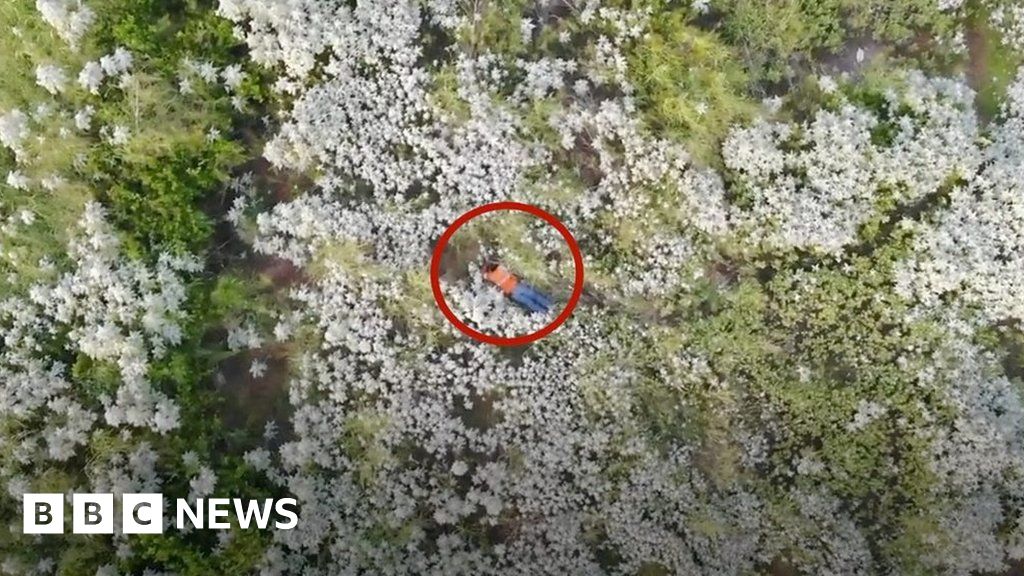 Where's Waldo? Suspect in Texas fails to hide - BBC News