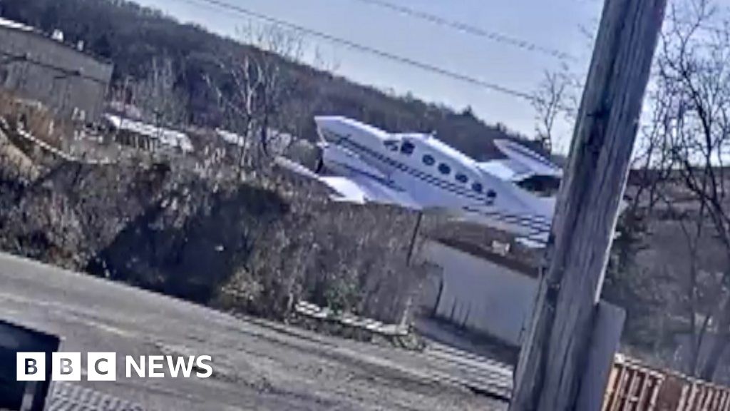 How did the pilot survive this plane crash? - BBC News