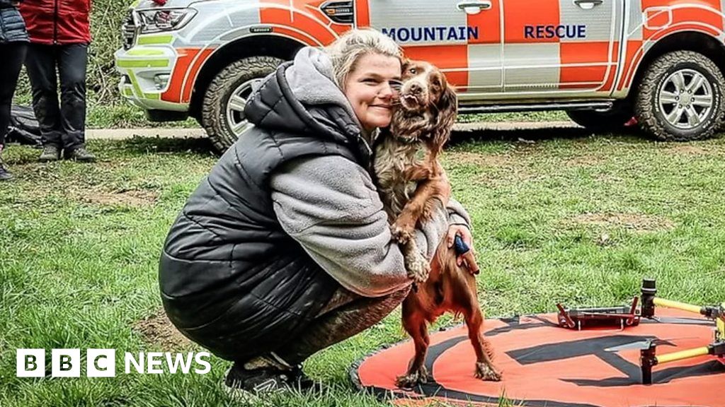 Video shows moment rescued dog reunited with owner - BBC News