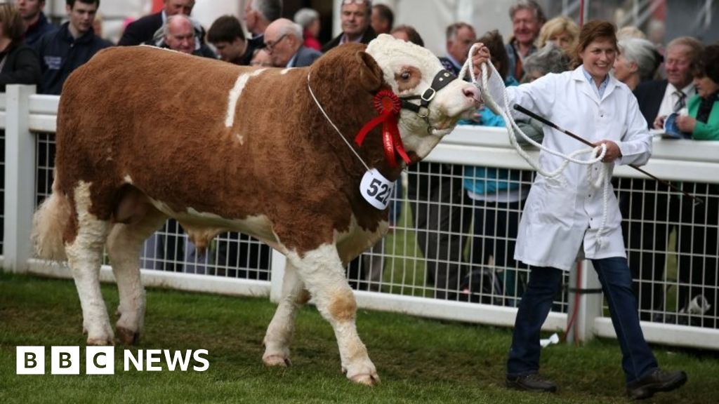 Royal Highland Show attracts record number of visitors - BBC News