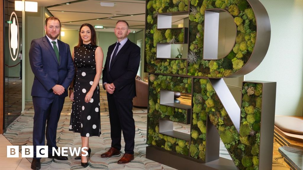 Newry cruise ship fit-out firm to create 100 jobs - BBC News