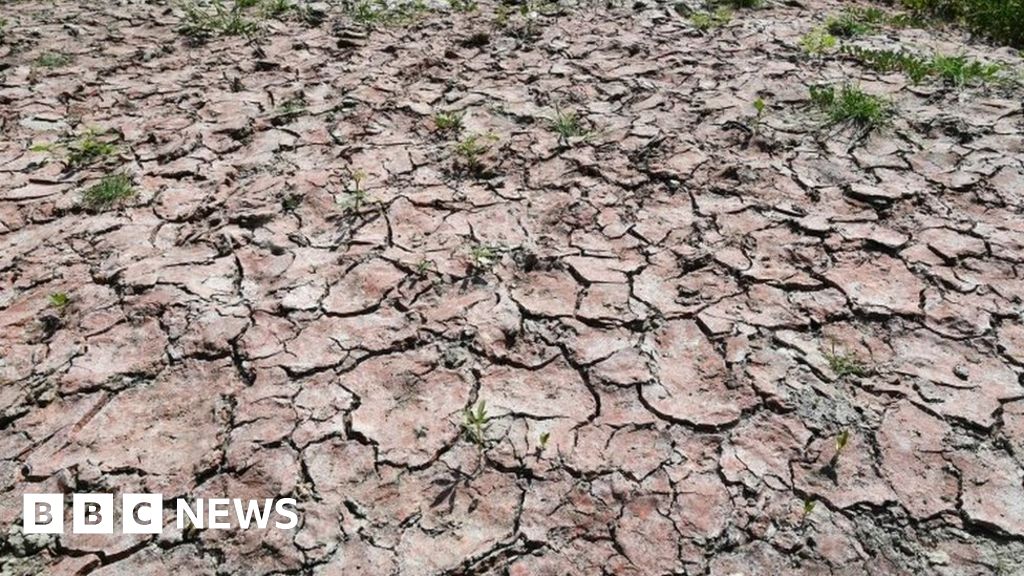 Rome hit by water rationing as Italy struggles with drought - BBC News