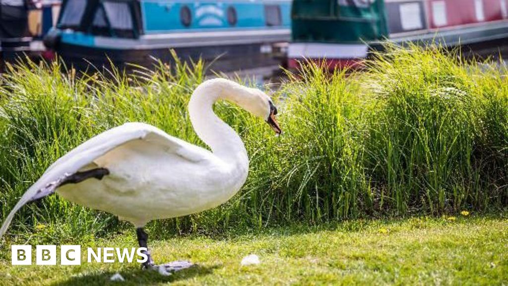 Your pictures across the West Midlands - BBC News