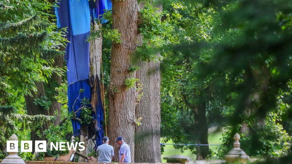 Appeal for footage of fatal Ombersley hot air balloon crash - BBC News