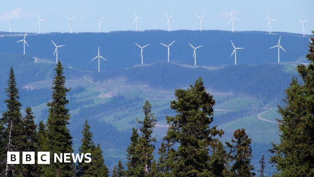 Party leaders in Scotland make climate change pledge - BBC News