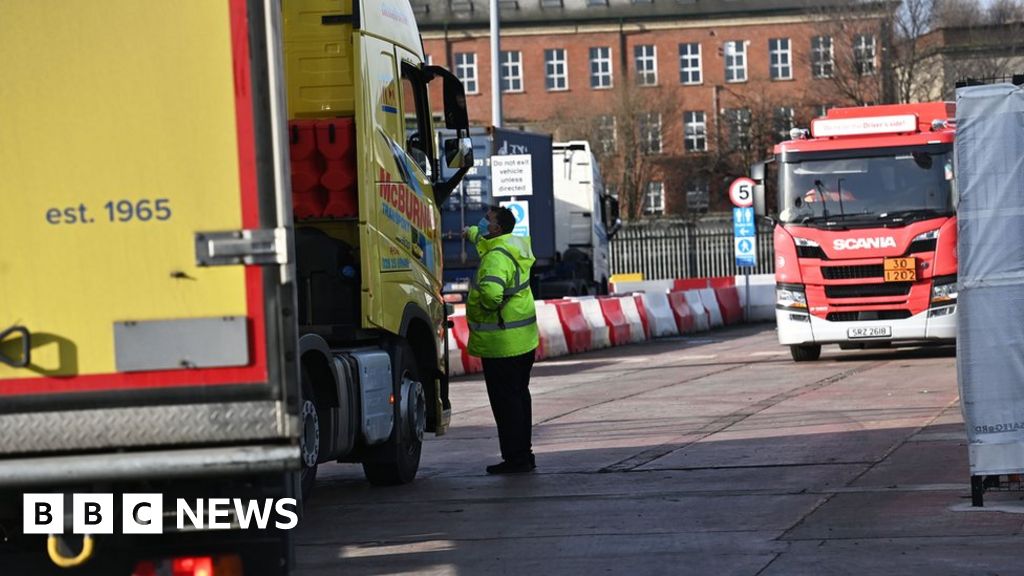 NI Protocol: What next for plans to override part of Brexit deal?