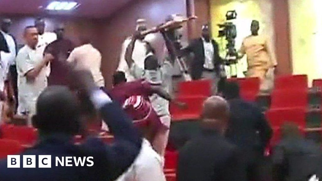 Moment mace is stolen in Nigerian Senate