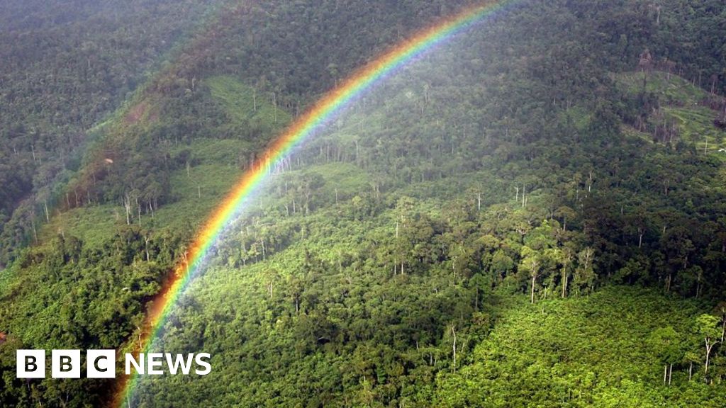 Climate crisis: Can we reverse it?