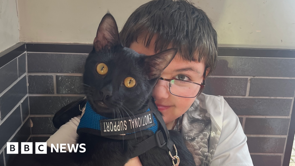 Bbc Cat BBC Derby After Spending More Than 400 Days At The Buxton