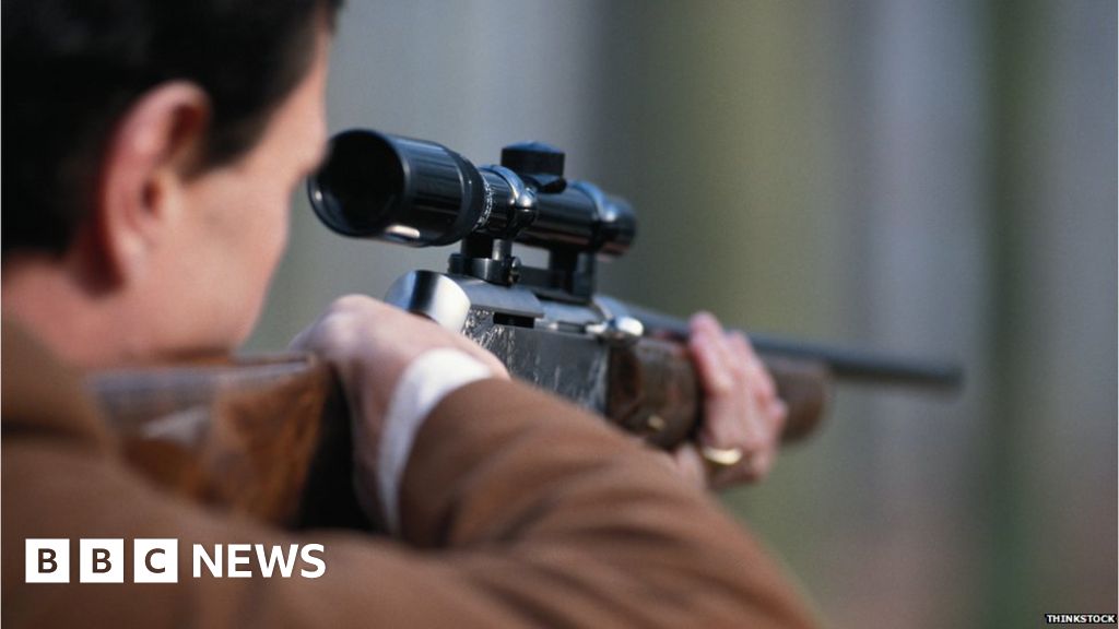 Firearms laws confused and unclear, Law Commission says - BBC News