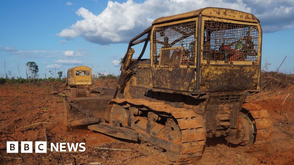 Brazil's Amazon wilderness at risk from organised crime - BBC News