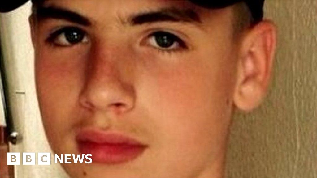 Teen murder victim Louis-Ryan Menezes 'stabbed in chest' - BBC News