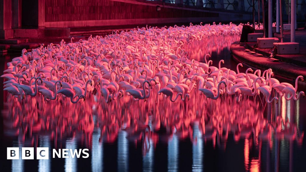 Headlines: Farmer protests and light festival crowds
