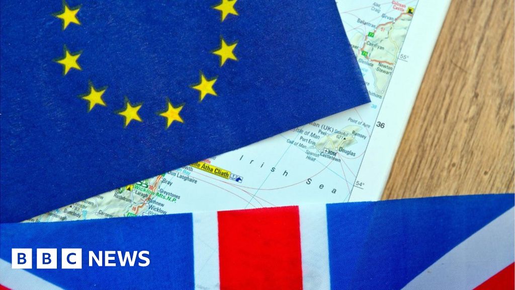 Brexit: DUP 'made mistake' over regulatory differences