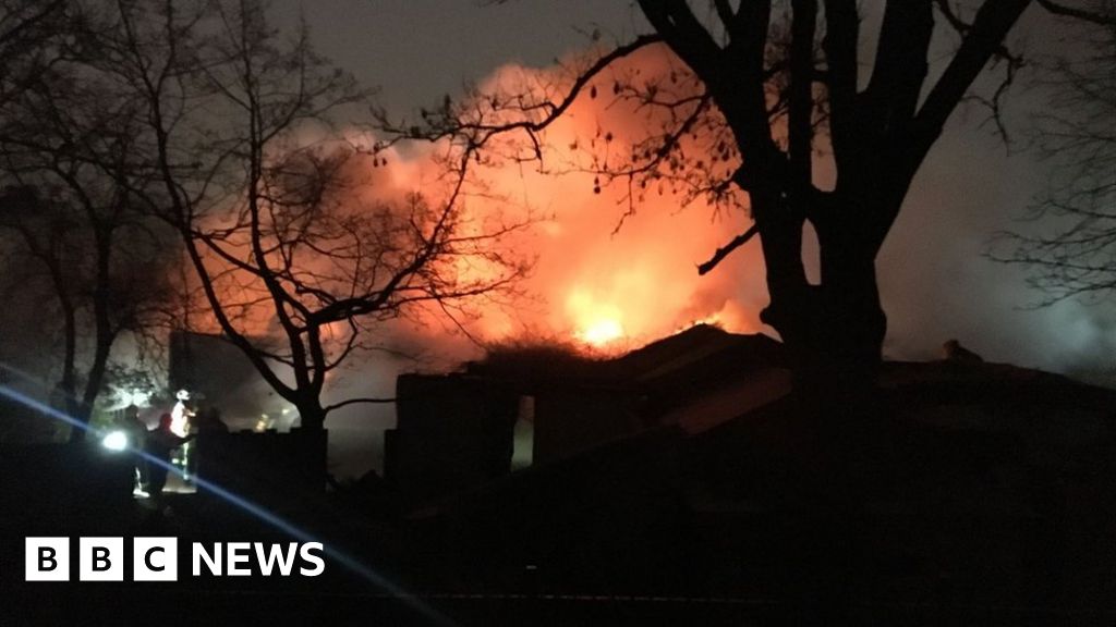 London Zoo fire kills aardvark 'and meerkats' - BBC News