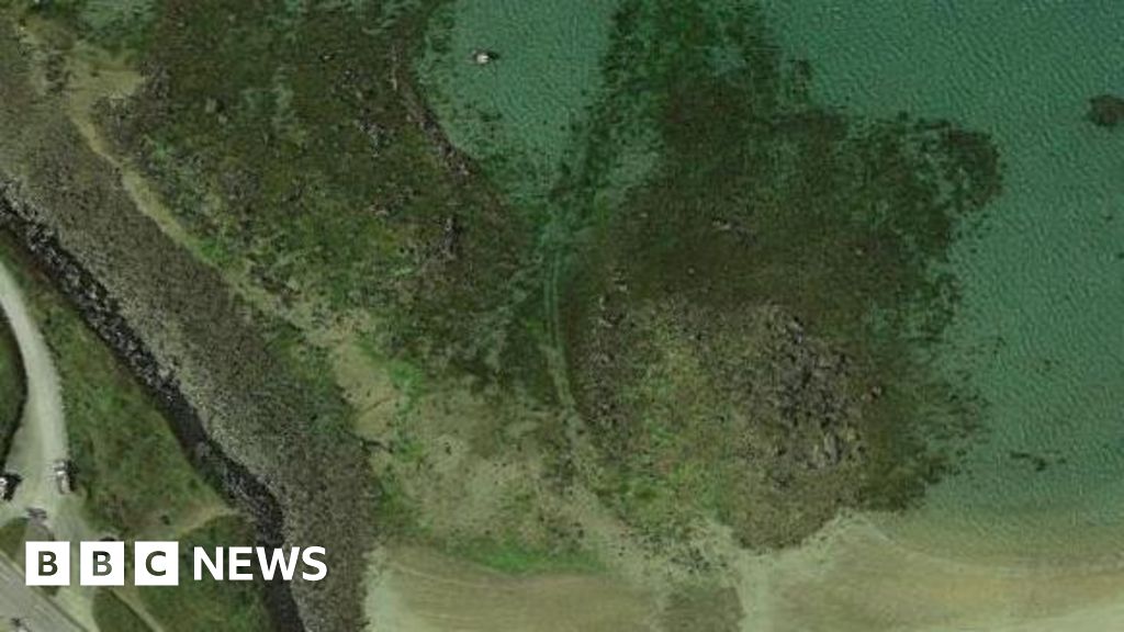 Guernsey: Dead chickens found 'thrown on to rocks' - BBC News