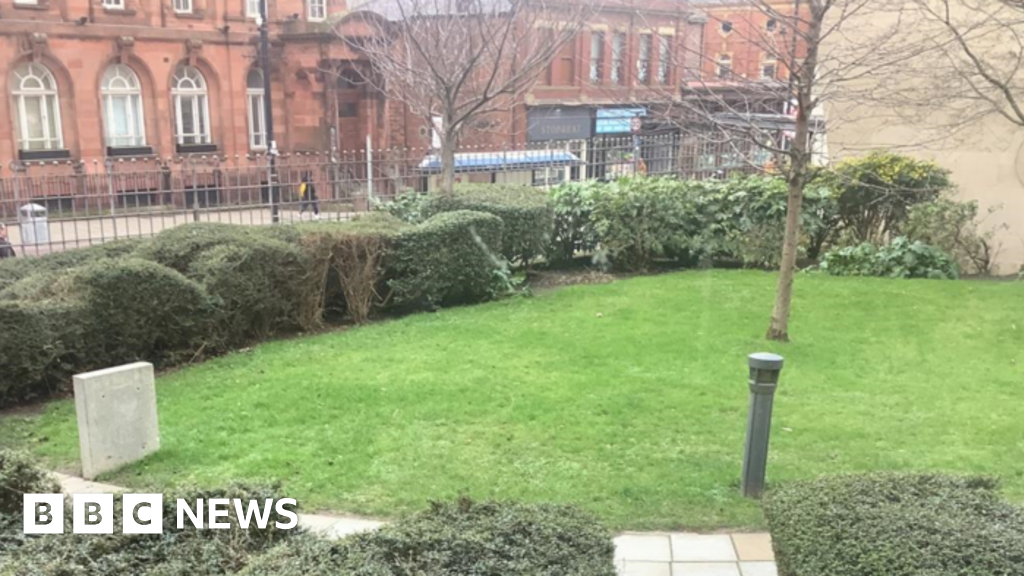 Sunderland community's help needed to shape city garden