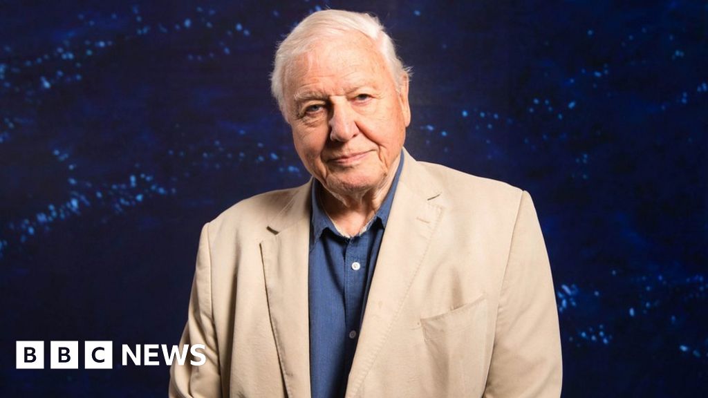 Sir David Attenboroughs Archive Recordings Get The Trance Treatment