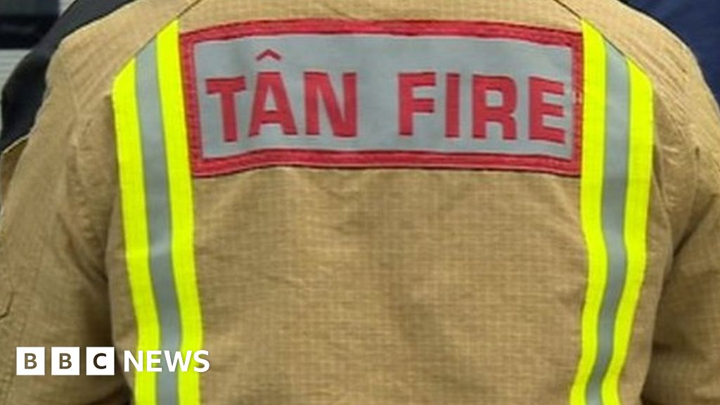 Man hurt and five horses die in Swansea barn fire