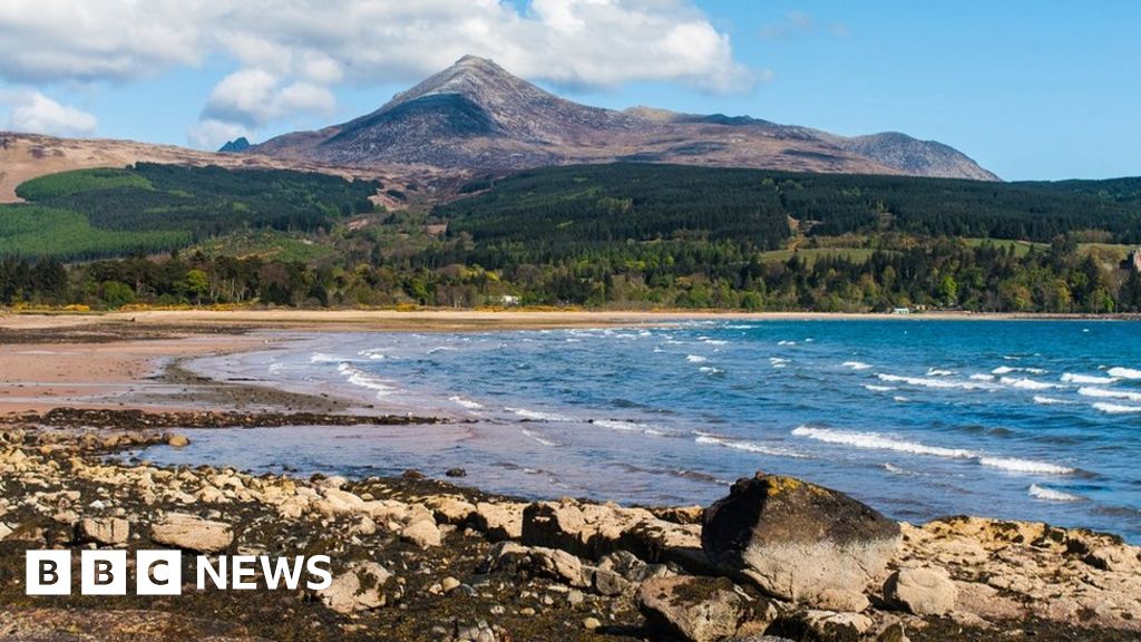 Almost half a million infected trees on Arran to be felled