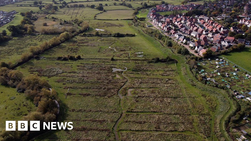 Volunteers transforming Bridgwater farmland into wetland