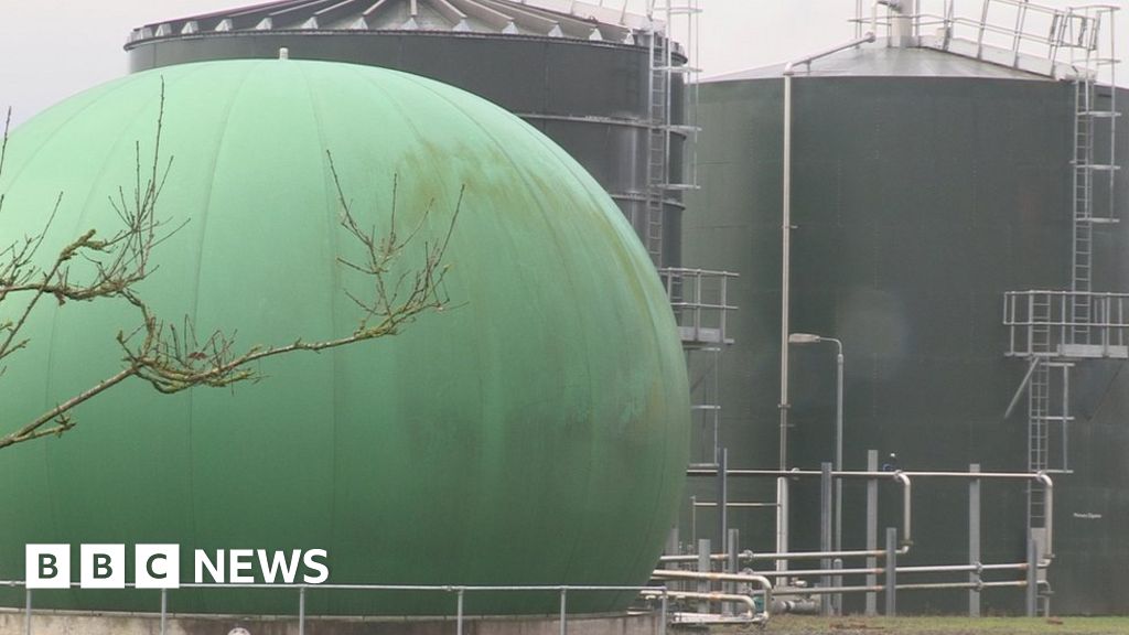 Poultry waste problem in Northern Ireland still requires long-term ...