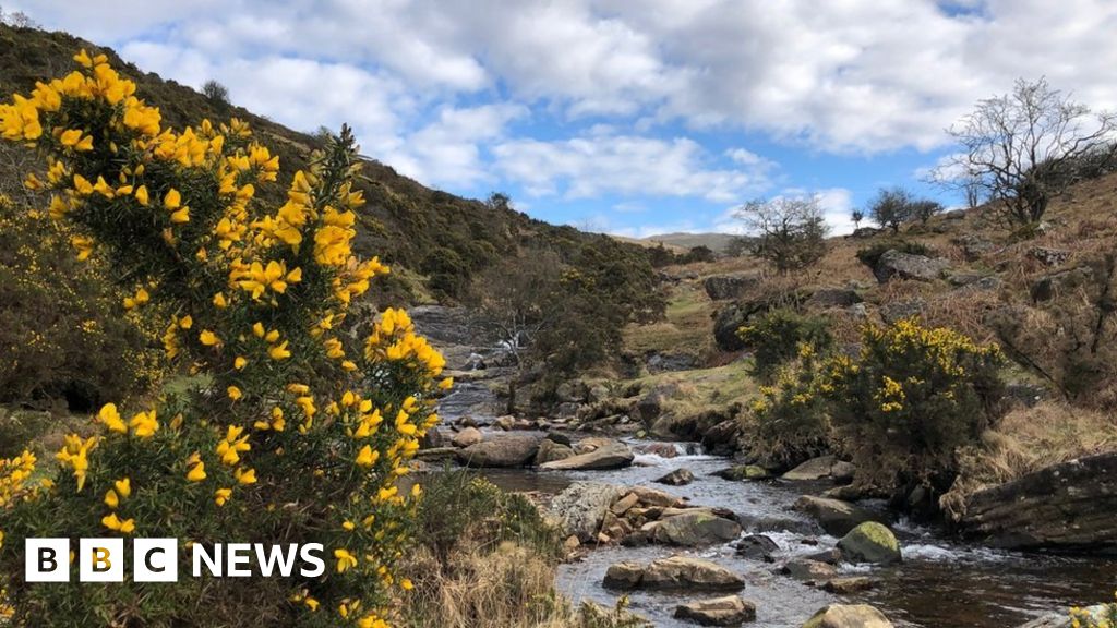 Dartmoor and Exmoor national parks face 'painful' cuts