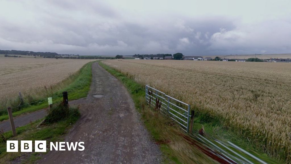 Former Royal Marine dies in Angus bicycle crash - BBC News