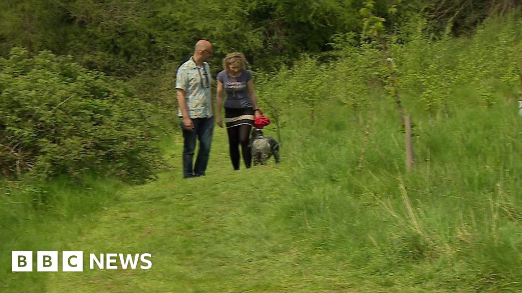 The mystery of the severed foot - BBC News