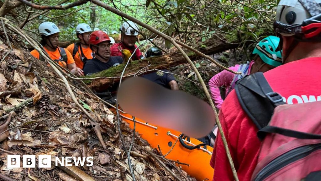 Rescuers hail 'miracle' survival of hiker lost for two weeks
