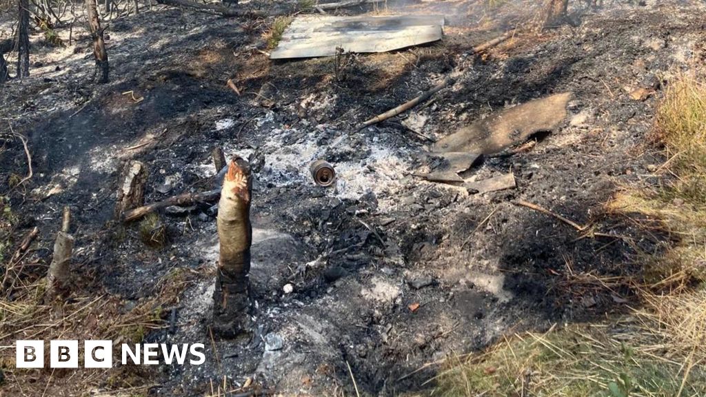 Surrey heath wildfire caused by 'out-of-control campfire'
