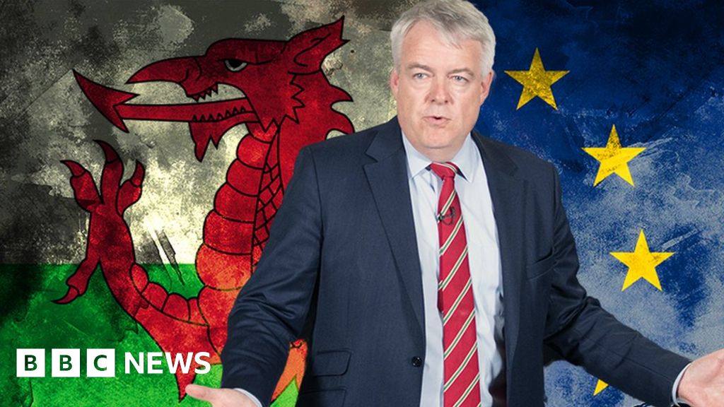 Brexit: UK government needs to stop 'shouting at foreigners' - BBC News