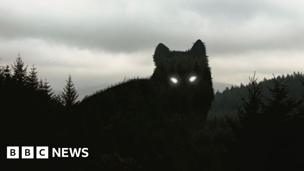 Folklore: Who killed the last wolf in Wales?