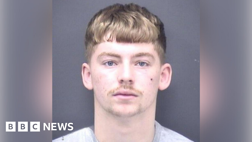 Cameron Hamilton death: Teen given nine years in custody for stabbing