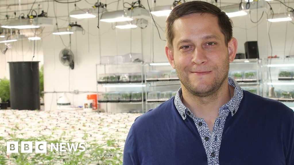 Meet the farmer and retailer hoping to cash in on legal Californian ...