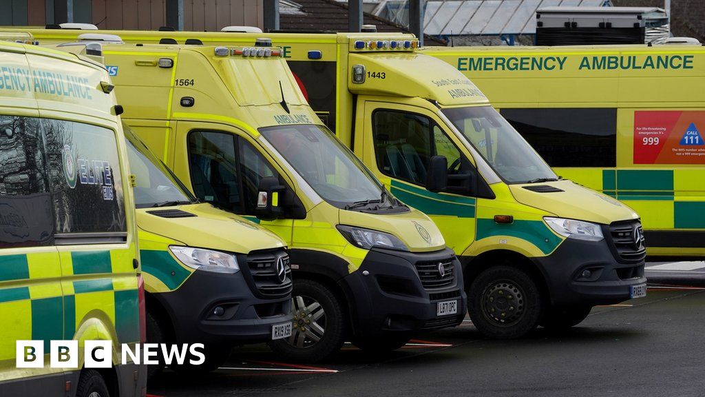 Sussex ambulance wait sees woman drive to A&E and die, Ed Davey tells ...