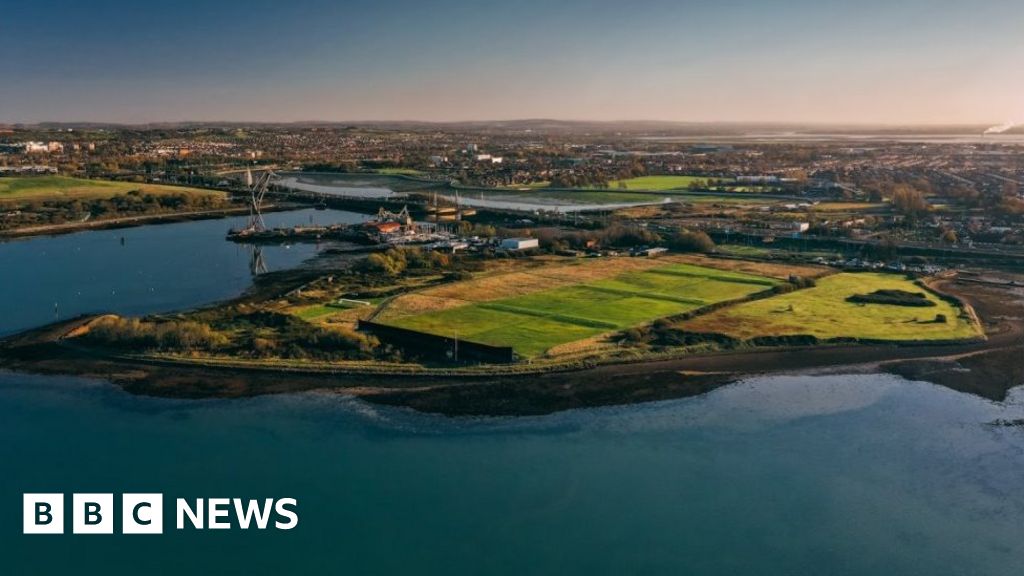 Portsmouth reclaimed-land housing plan angers wildlife groups