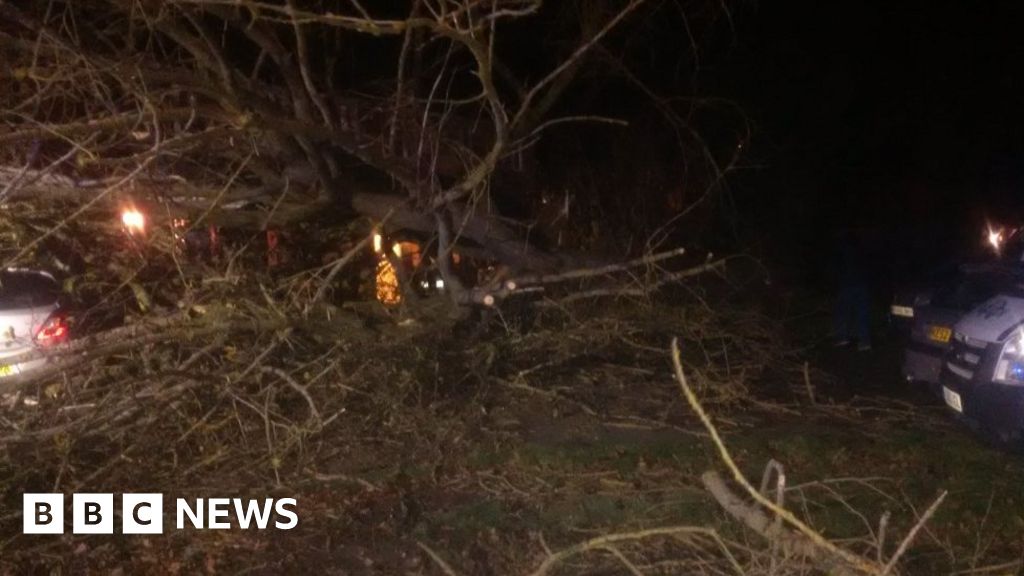 Storm Barney: Tree crashes on Didcot houses - BBC News