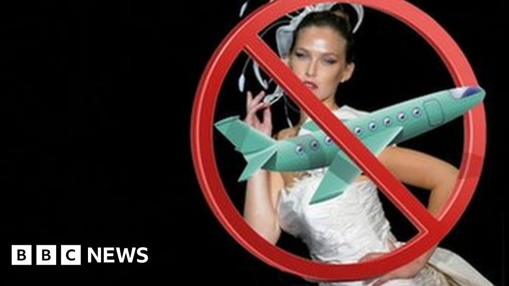 Why did Israeli supermodel Bar Refaeli want a no-fly zone? - BBC News