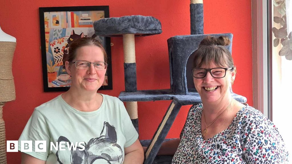 Wolverhampton cat cafe to open with rescued felines from Qatar