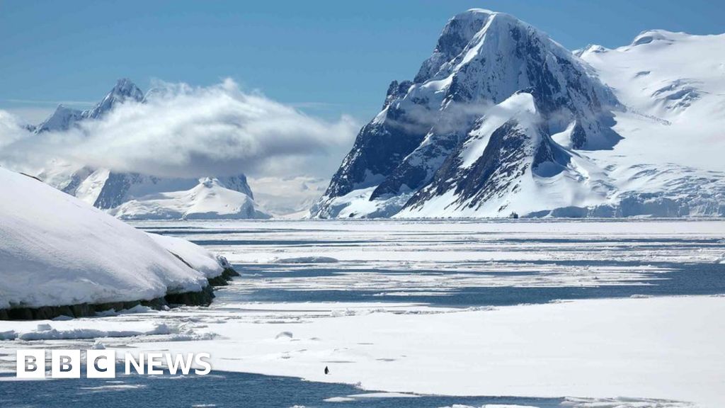Joyce Ferder Rankin: Images from the end of the world - BBC News