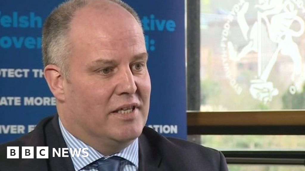 Welsh Tory leader calls 'for slate of candidates' for members - BBC News