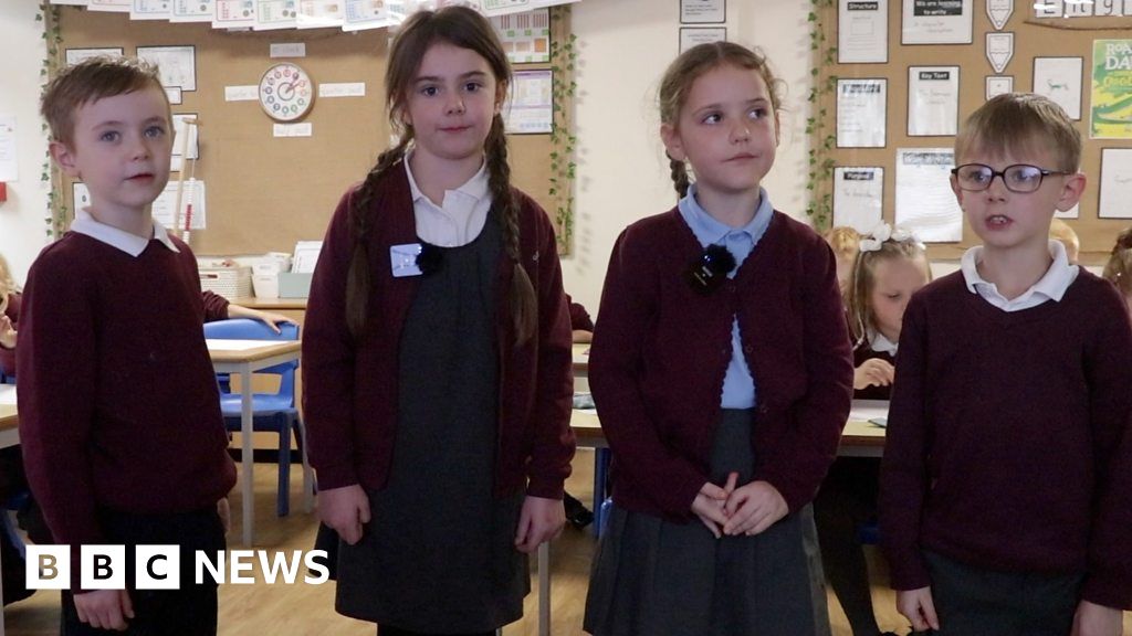 Sycamore Gap: Pupils recite poem in memory of Hadrian's Wall tree - BBC ...