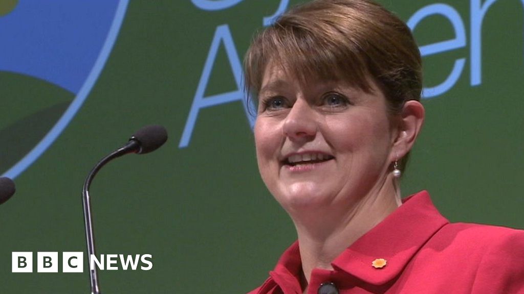 Plaid Cymru's Leanne Wood urges Labour voters to switch - BBC News