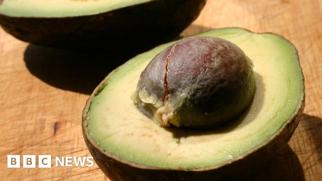 Hawaii avocado: Huge 'head-sized' fruit in world record bid - BBC News