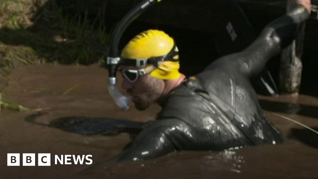 Swindon bog-snorkelling champion fails to beat record - BBC News